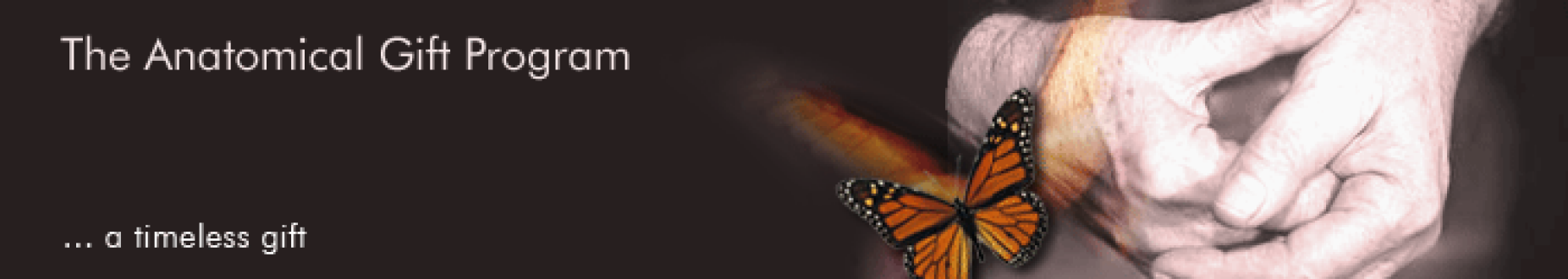 Anatomical Gift Program - Jacobs School of Medicine and Biomedical ...