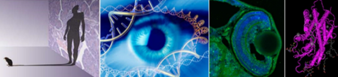 Annual Buffalo Ophthalmology Symposium - Jacobs School of Medicine and ...