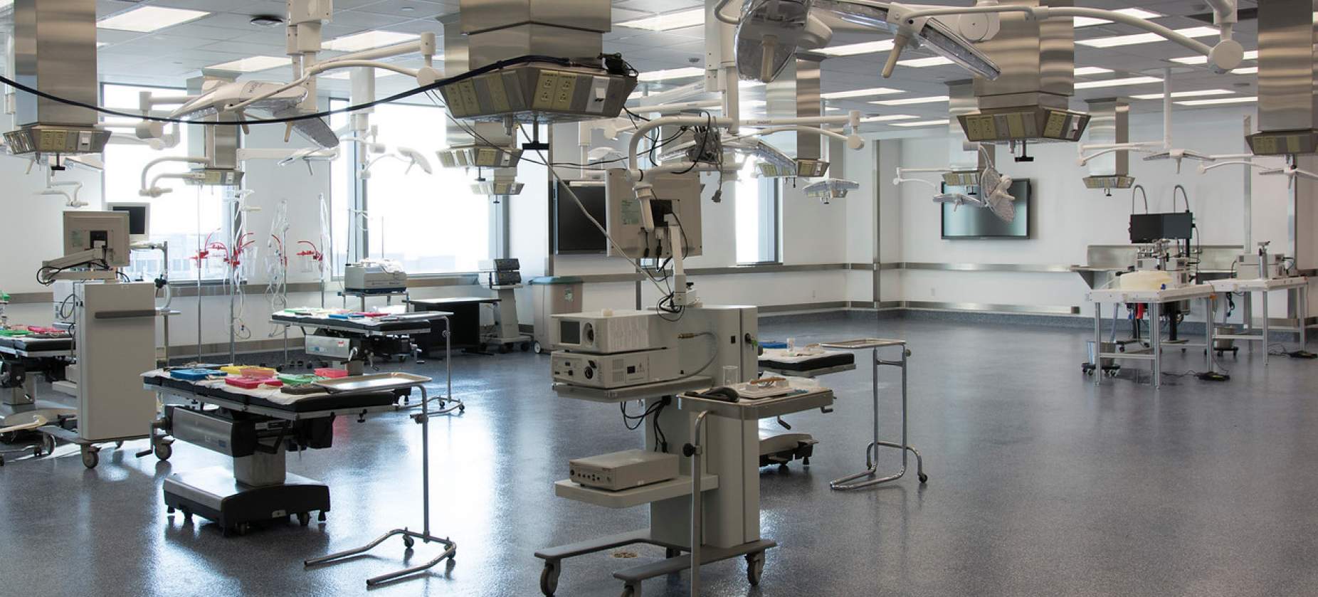 UB RISE - Jacobs School of Medicine and Biomedical Sciences ...